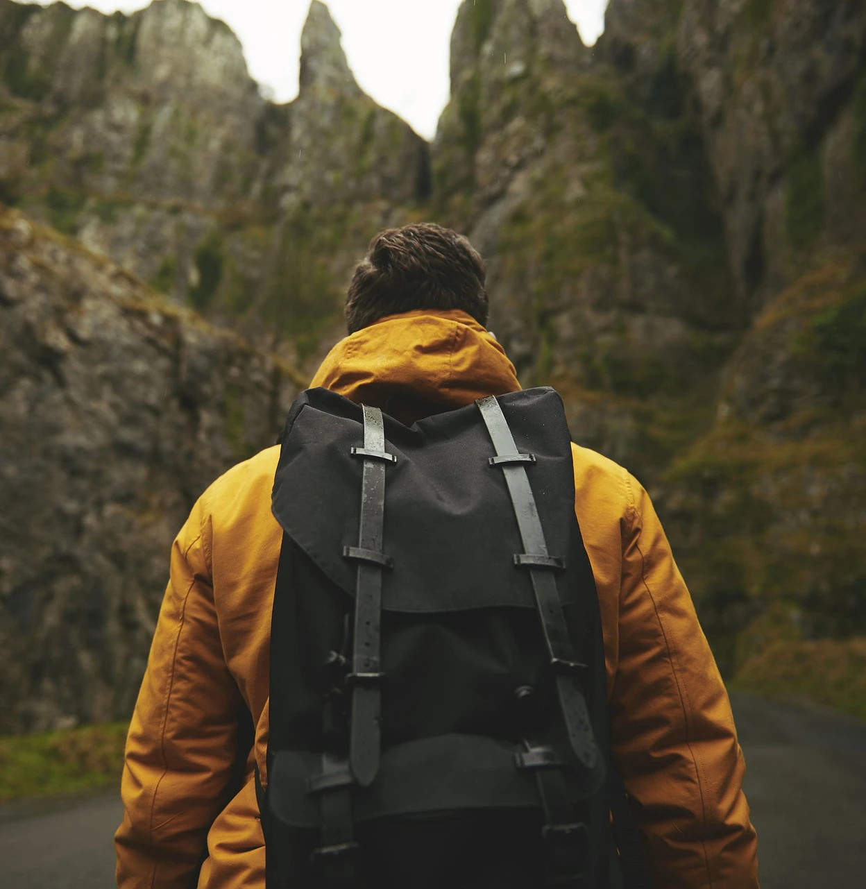 About Albor - Our Story