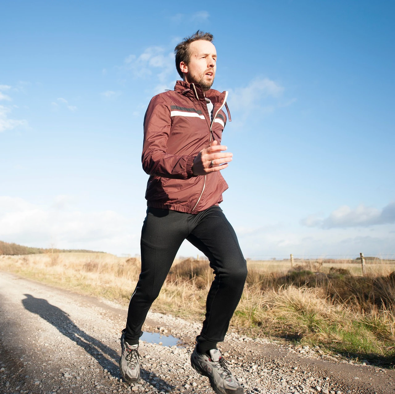 About Albor - Our Story